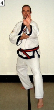 Tang Soo Do World