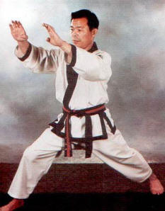Tang Soo Do World